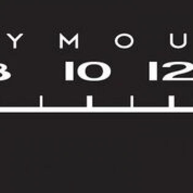 RetroSound Plymouth Logo Screen Protector for Standard Radios, Pkg of 3 ...